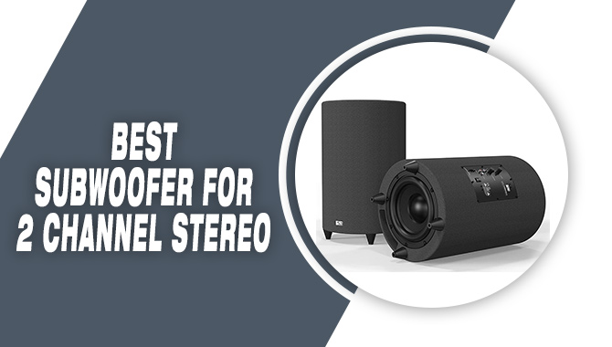 Top 6 Best Subwoofer For 2 Channel Stereo Of 2022